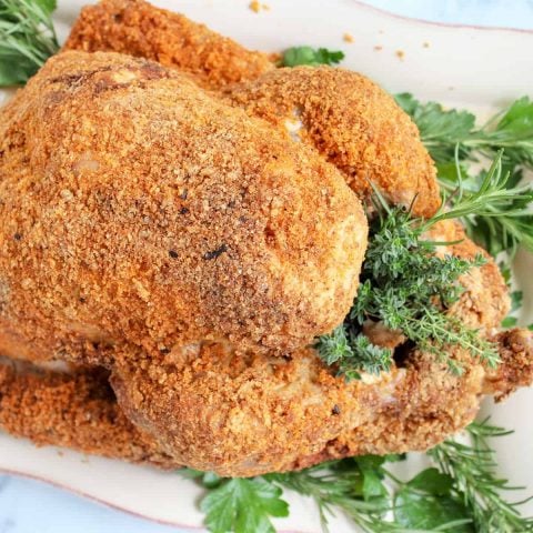 Juicy Turkey Recipe with Seasoned Coating | Seeking Good Eats