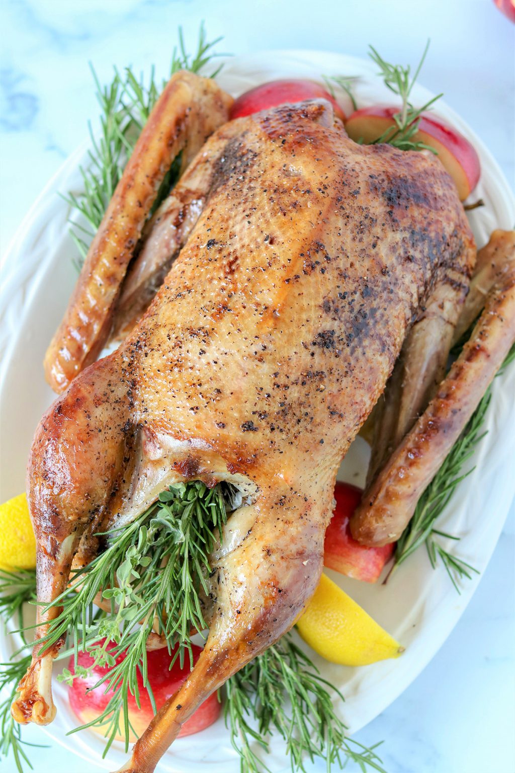 How to Roast A Goose (Christmas Goose Recipe) | Seeking Good Eats