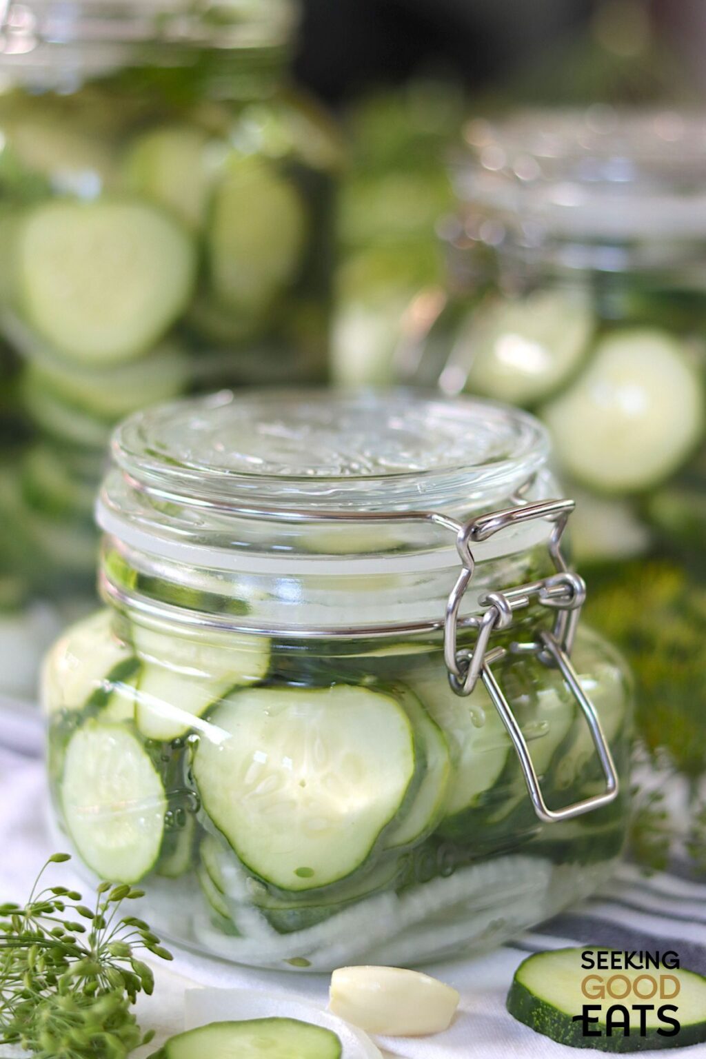 Easy Refrigerator Pickle Recipe - Crispy Dill Pickles in 24 Hours