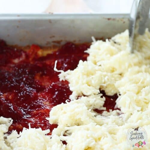 Best Raspberry Coconut Bars (Sugar Free) Recipe | Seeking Good Eats