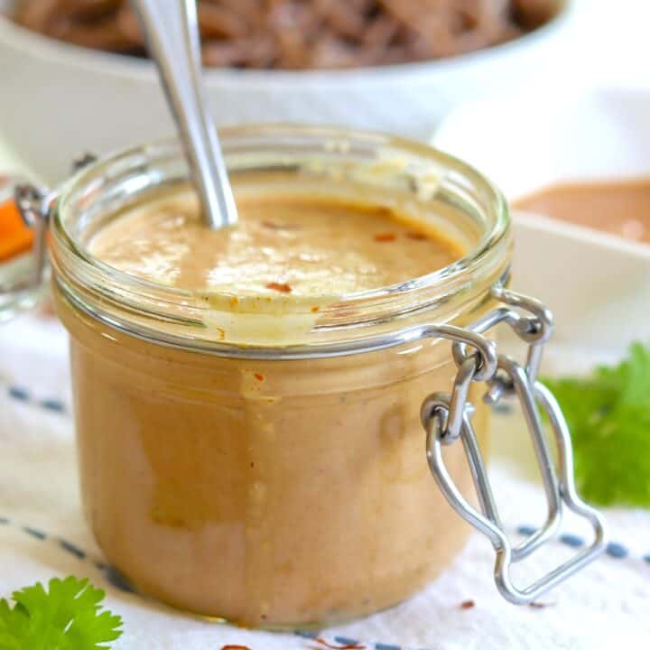 Best Thai Peanut Dressing Recipe | Seeking Good Eats
